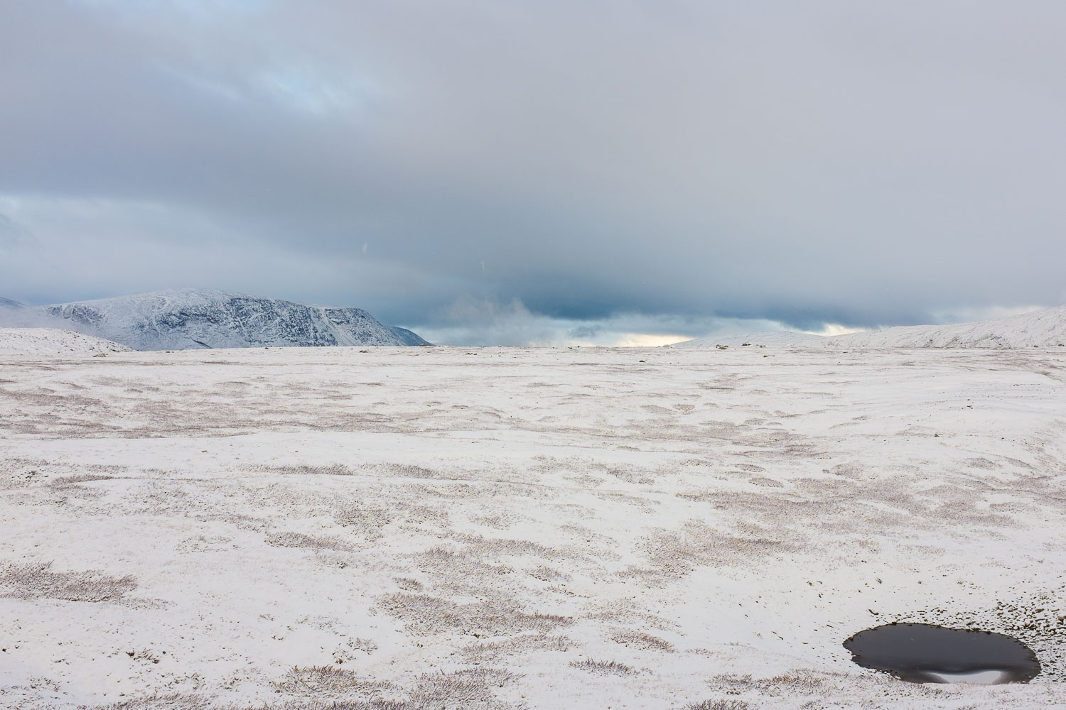 Snøhetta « Livet som det er her